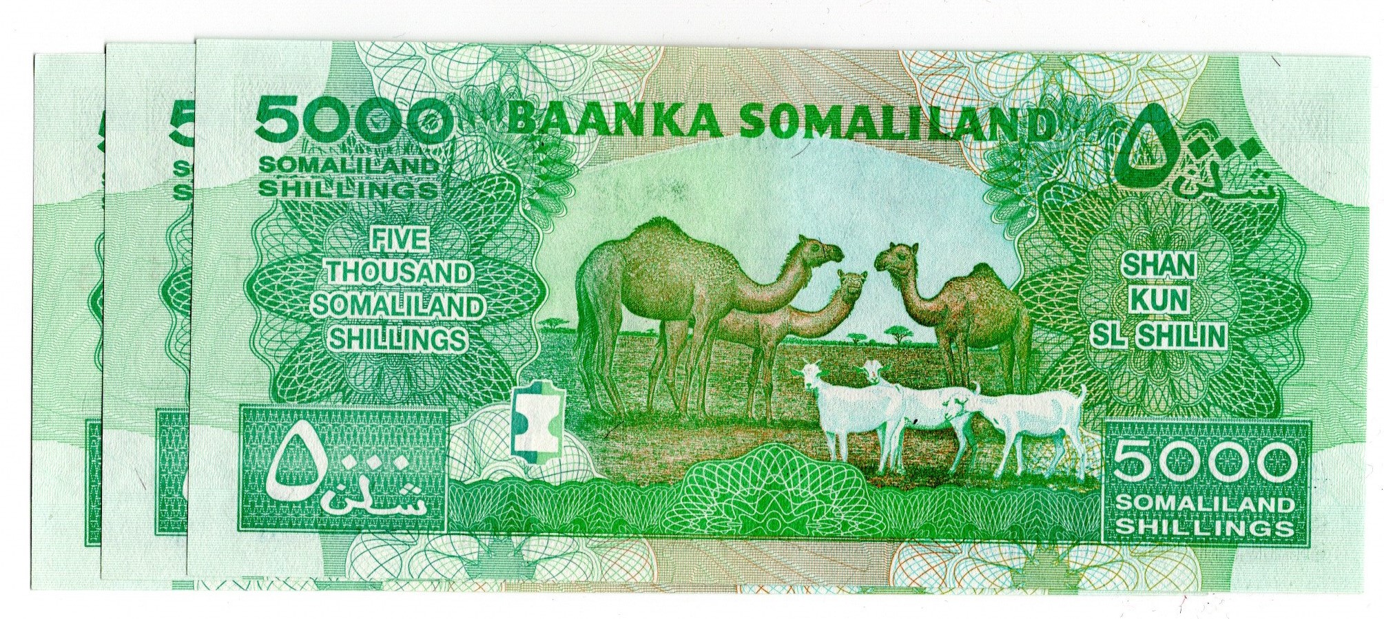 Somaliland Currency